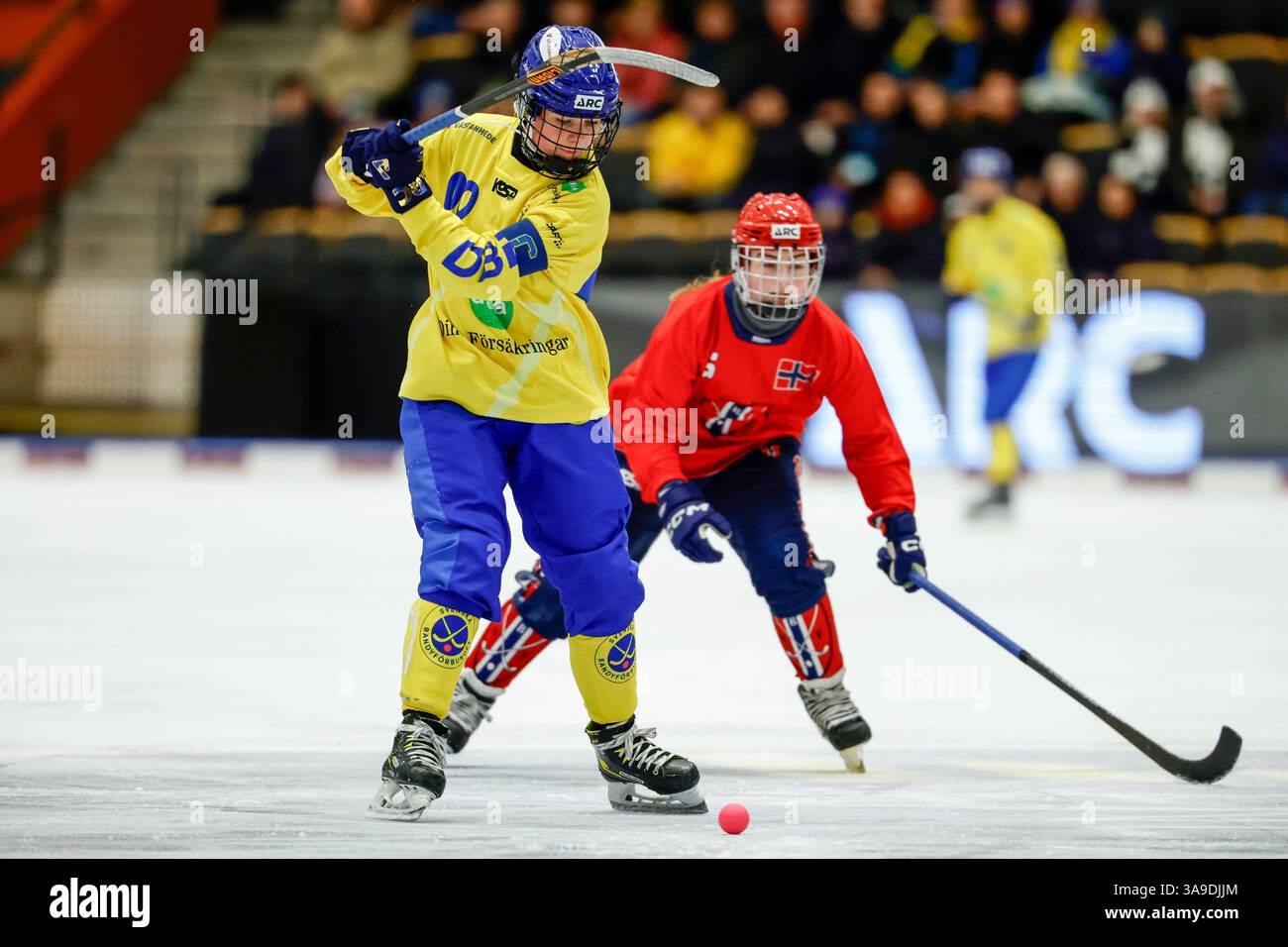 Sweden's captain Agnes Ögren during Sunday's final of the Women's Bandy ...