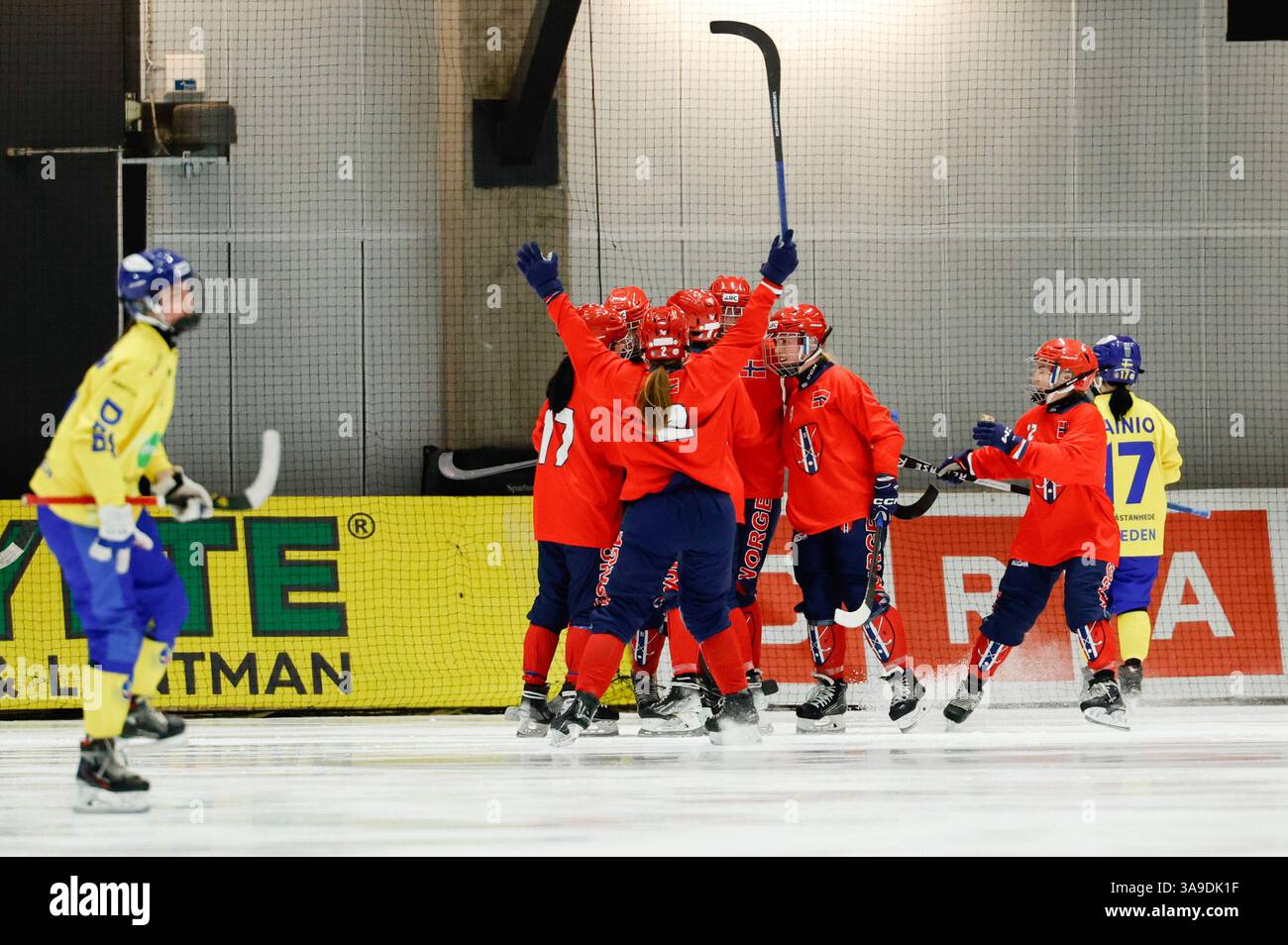 LIDKÖPING, SWEDEN 20250330Norway celebrates after scoring 0-1 during ...