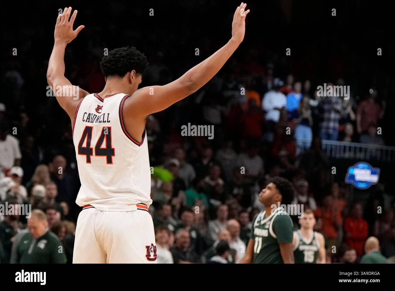 Auburn center Dylan Cardwell (44) reacts to play against Michigan State ...