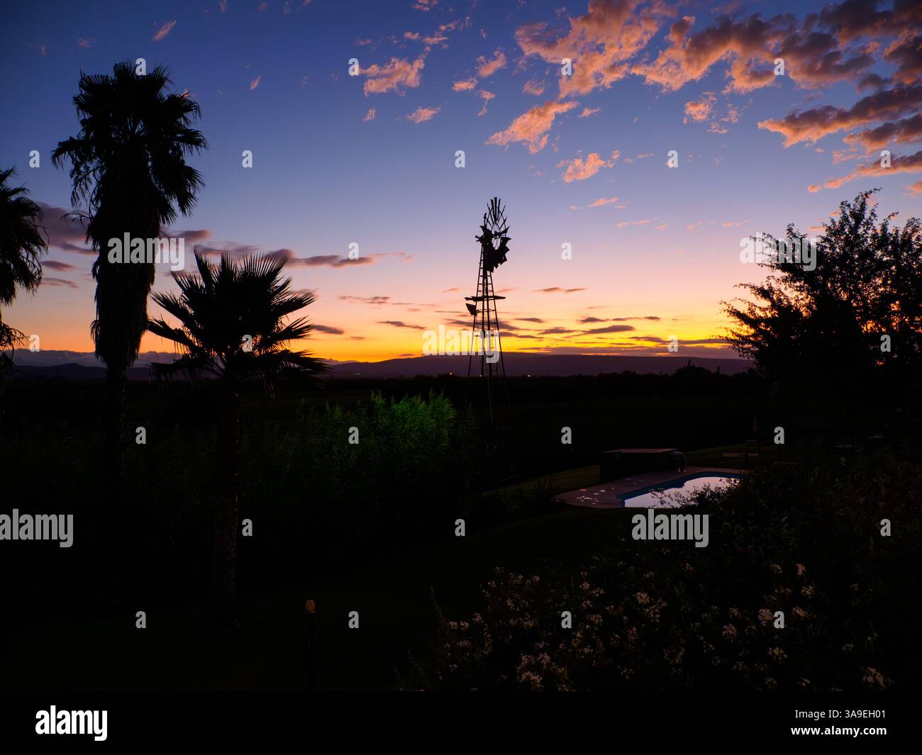 Evening landscape with windmill water pump and palm trees in ...