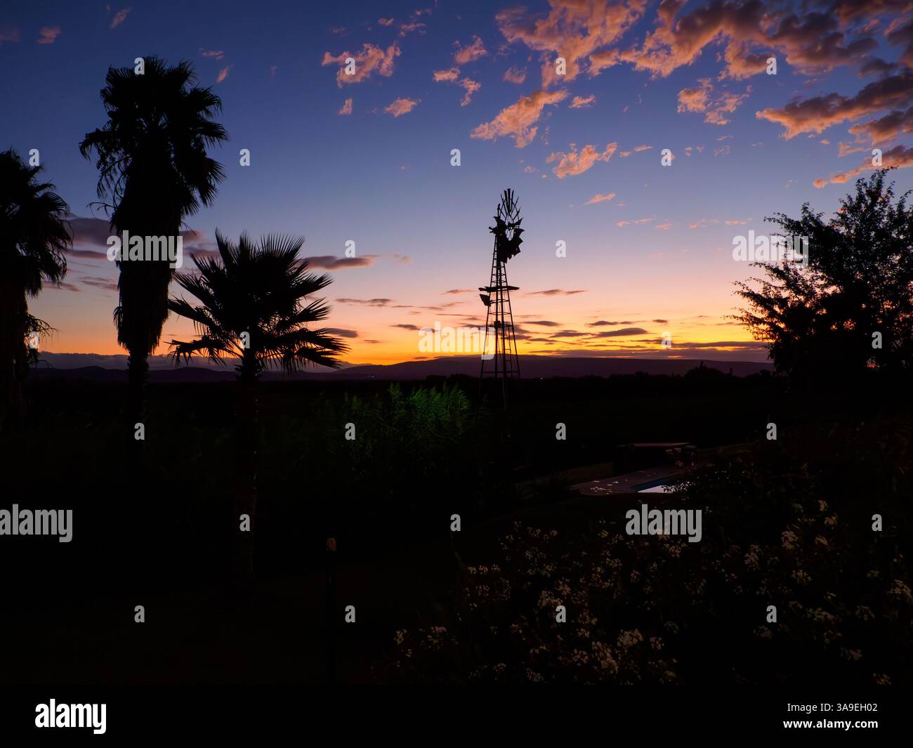 Evening landscape with windmill water pump and palm trees in ...