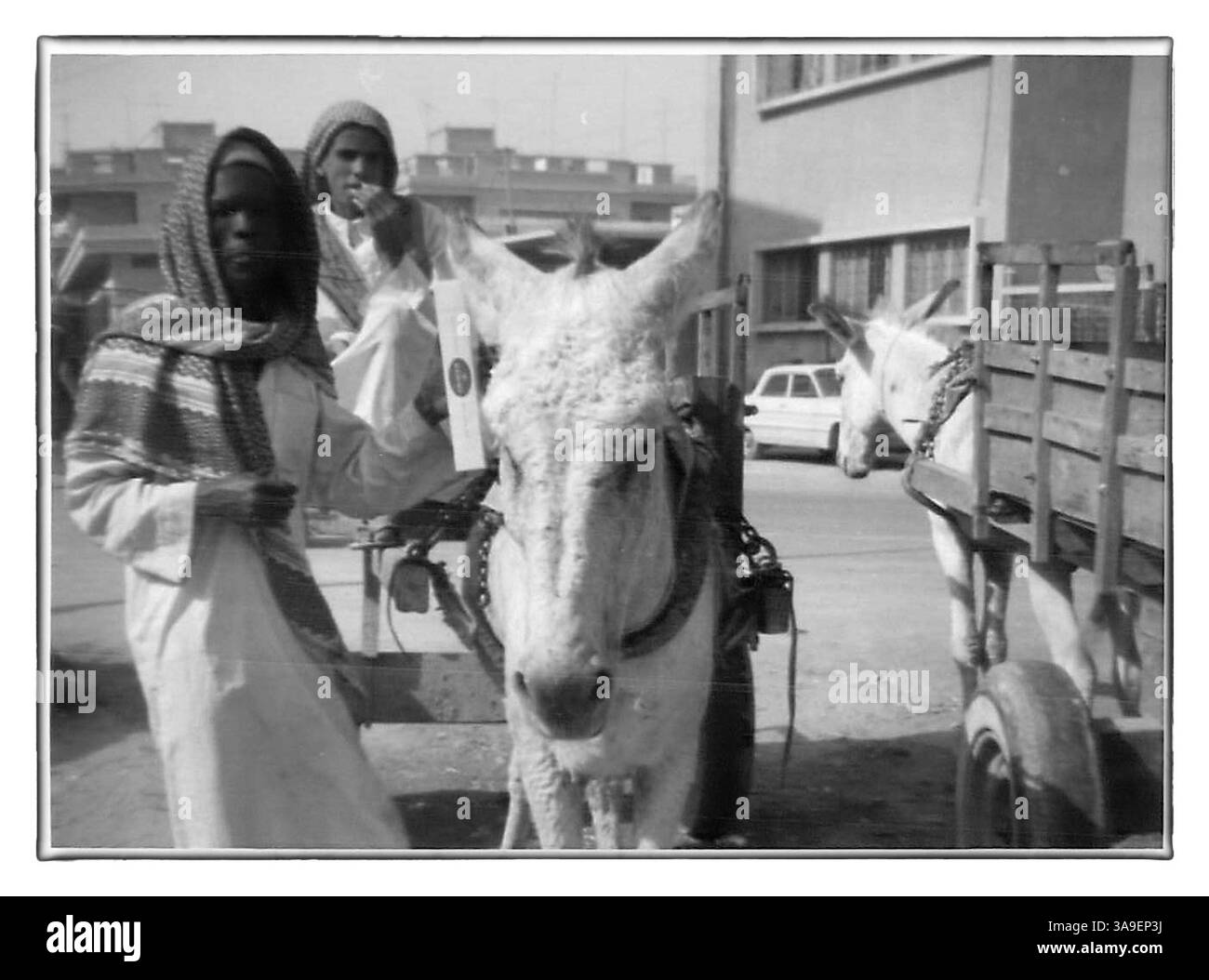 Scenes from al-Hofuf, al-Ahsa, Saudi Arabia, abt 1968 Stock Photo - Alamy