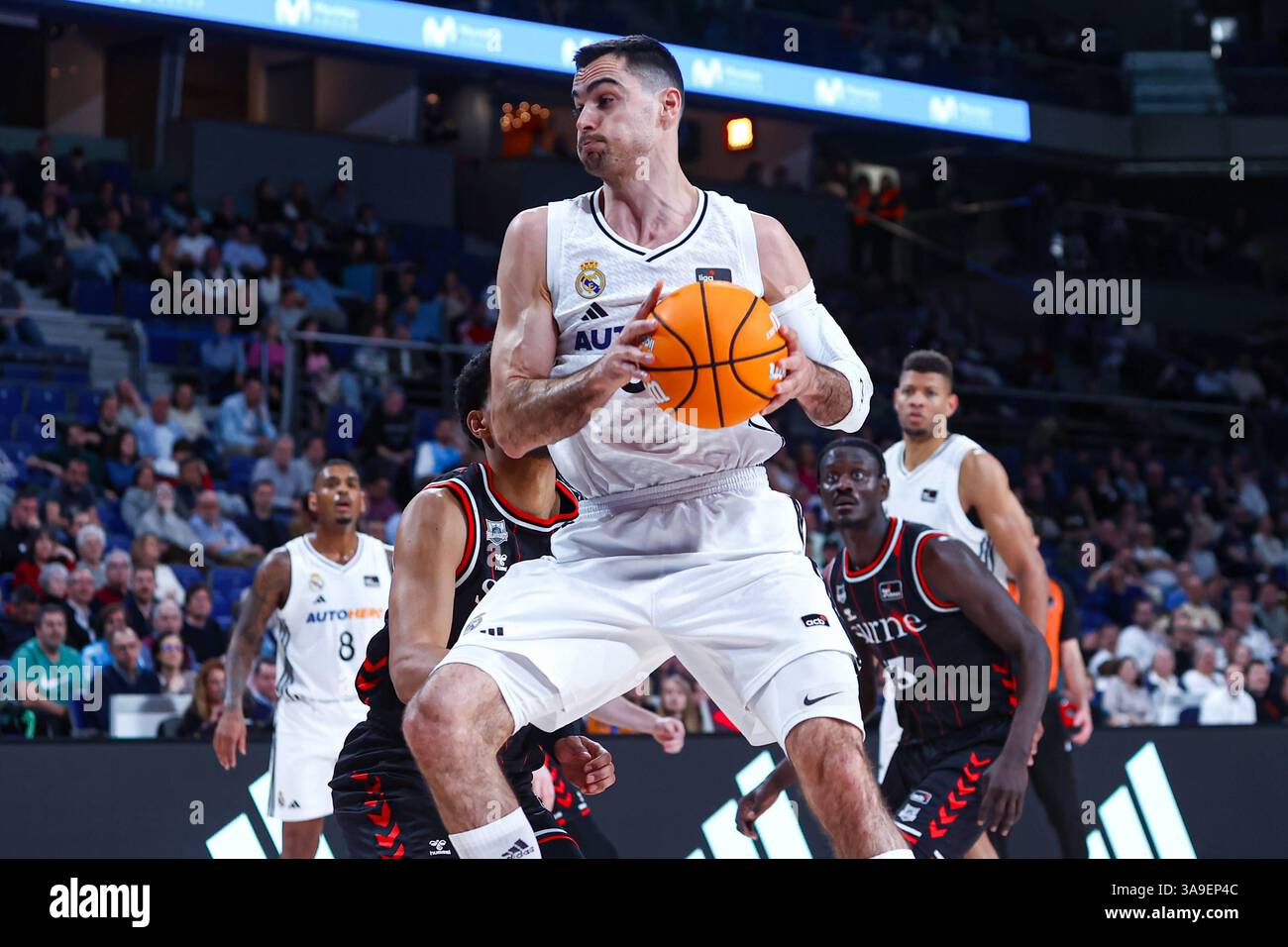 Madrid, Spain. 30th Mar, 2025. 30th March 2025; Movistar Arena; Liga Endesa; ACB; Real Madrid vs ...