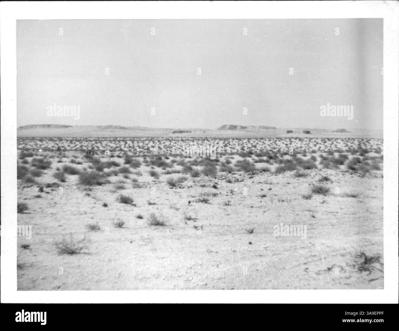 Scenes from al-Hofuf, al-Ahsa, Saudi Arabia, abt 1968 Stock Photo - Alamy