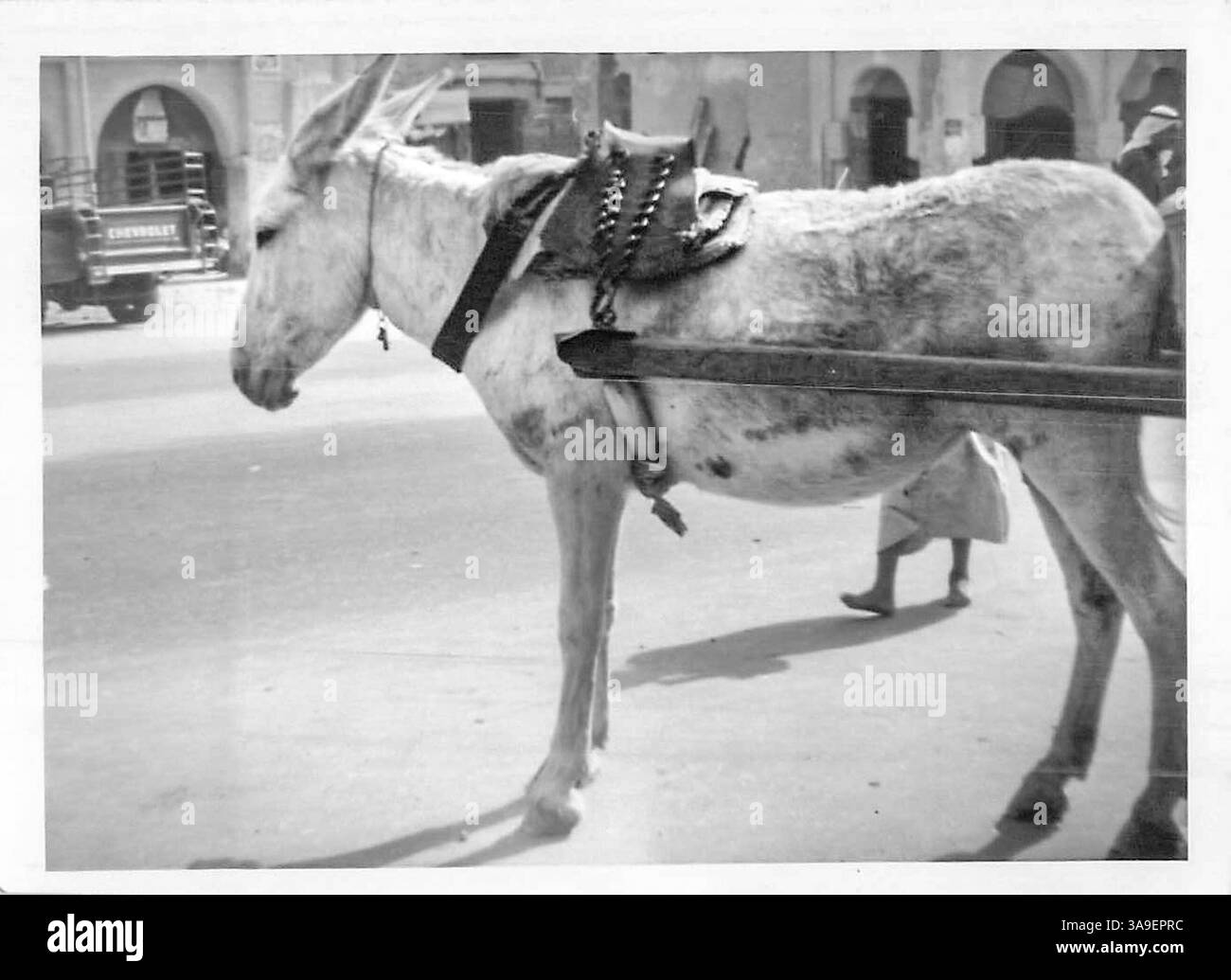 Scenes from al-Hofuf, al-Ahsa, Saudi Arabia, abt 1968 Stock Photo - Alamy