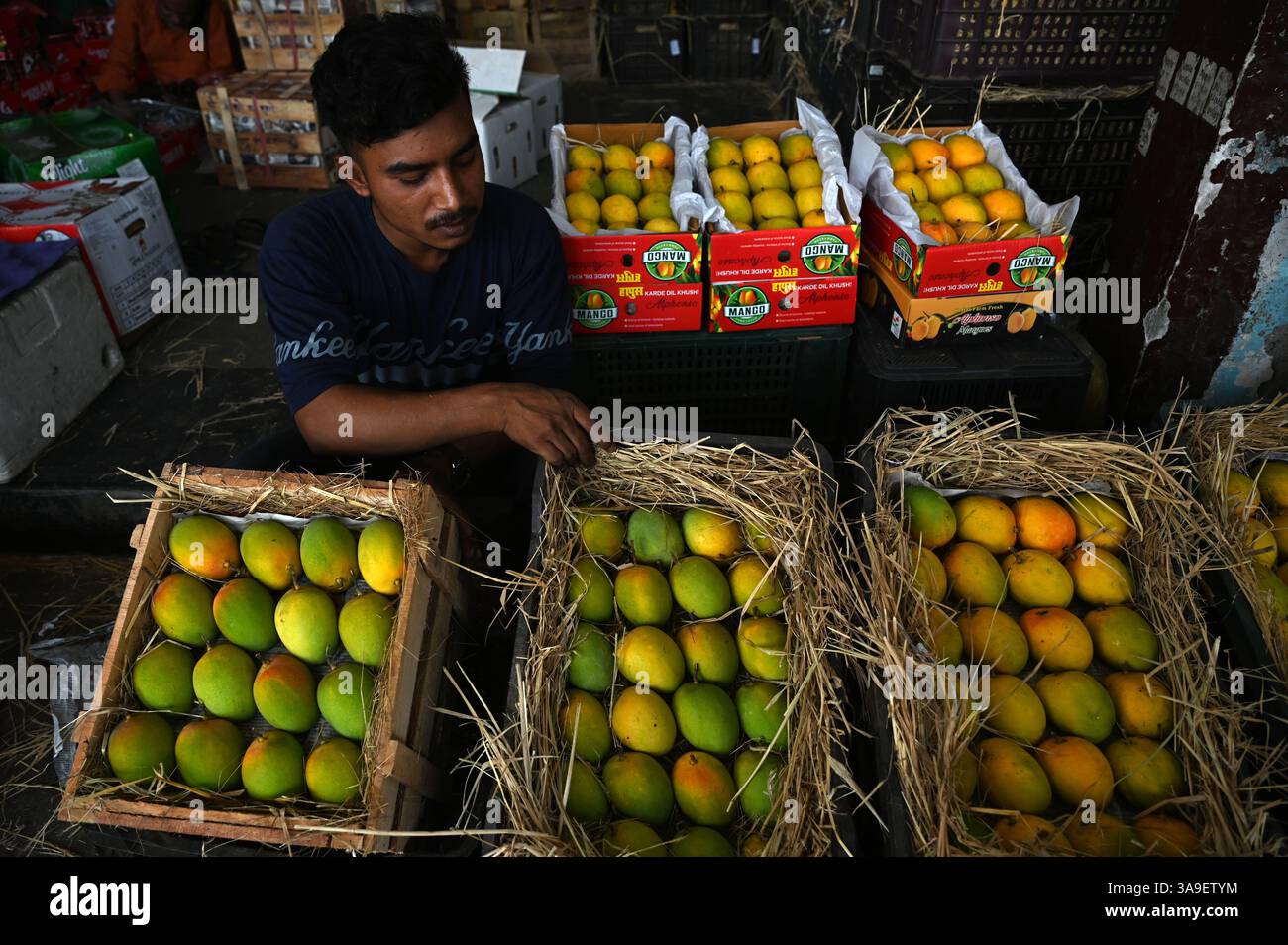 NAVI MUMBAI, INDIA - MARCH 30: 40,000 boxes mangoes have arrived at APMC on occasion of Gudi ...