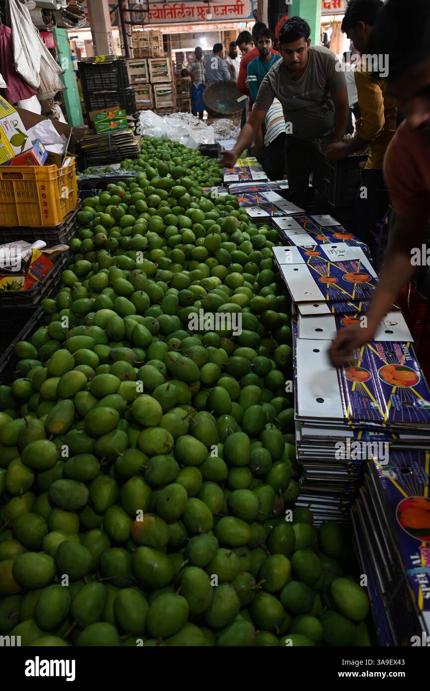 NAVI MUMBAI, INDIA - MARCH 30: 40,000 boxes mangoes have arrived at APMC on occasion of Gudi ...