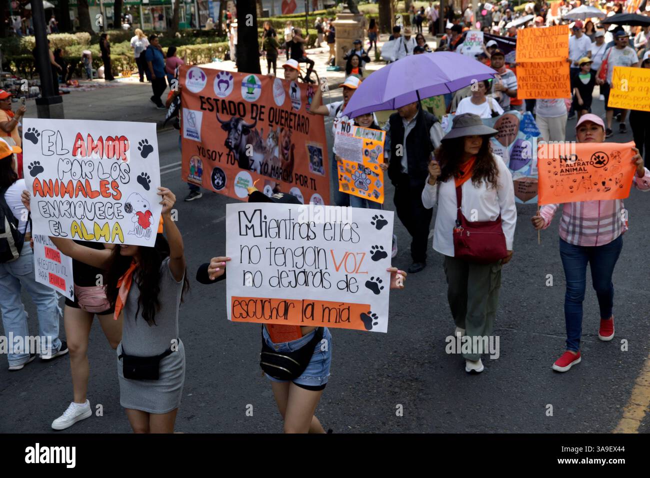 Animal rights activists take part during the National Citizens' March ...