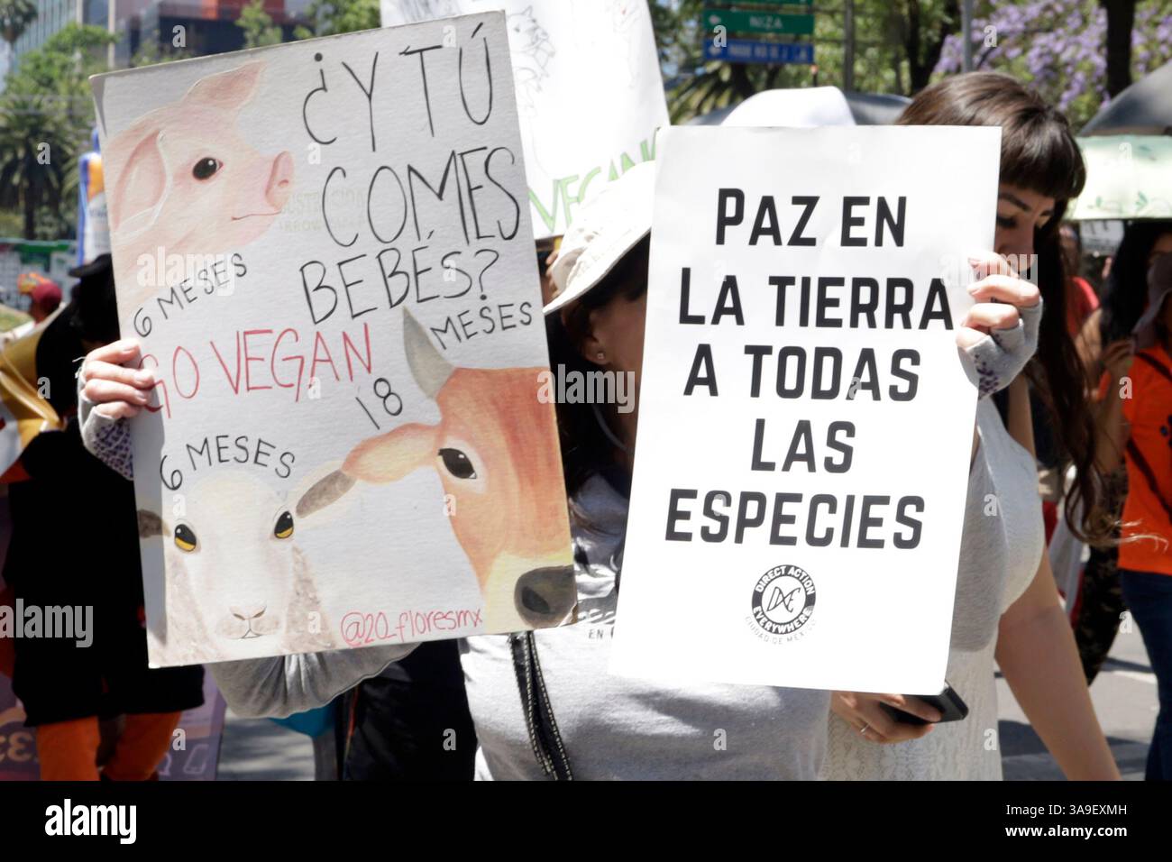Mexico City, Mexico.30th March, 2025. Animal rights activists take part ...