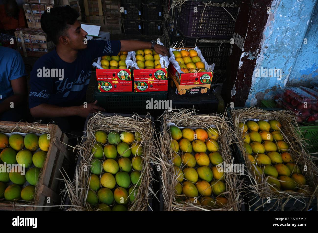 NAVI MUMBAI, INDIA - MARCH 30: 40,000 boxes mangoes have arrived at APMC on occasion of Gudi ...
