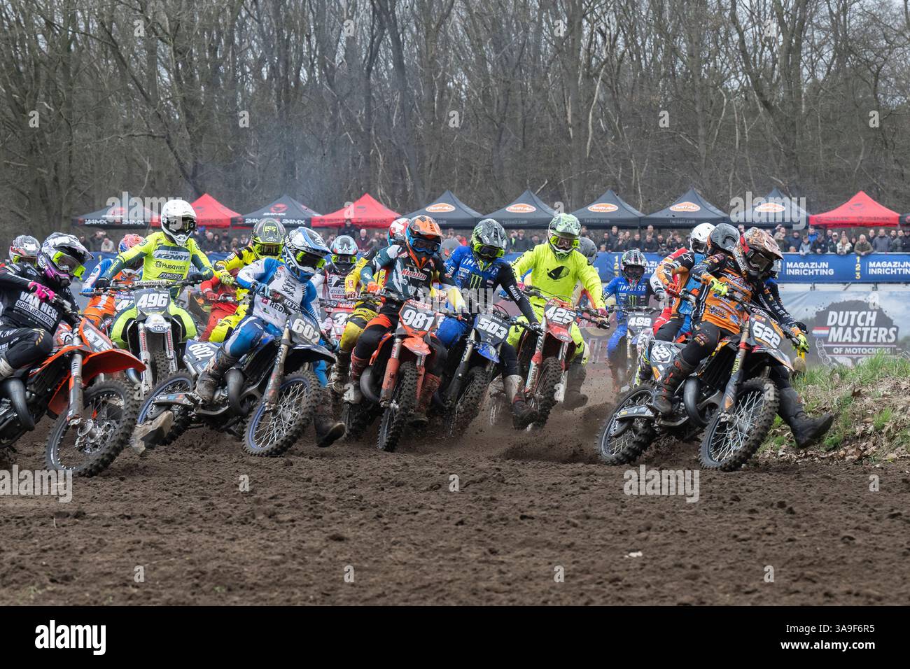 Harsfsen, Netherlands. 30th Mar, 2025. HARSFSEN, NETHERLANDS - MARCH 30 ...