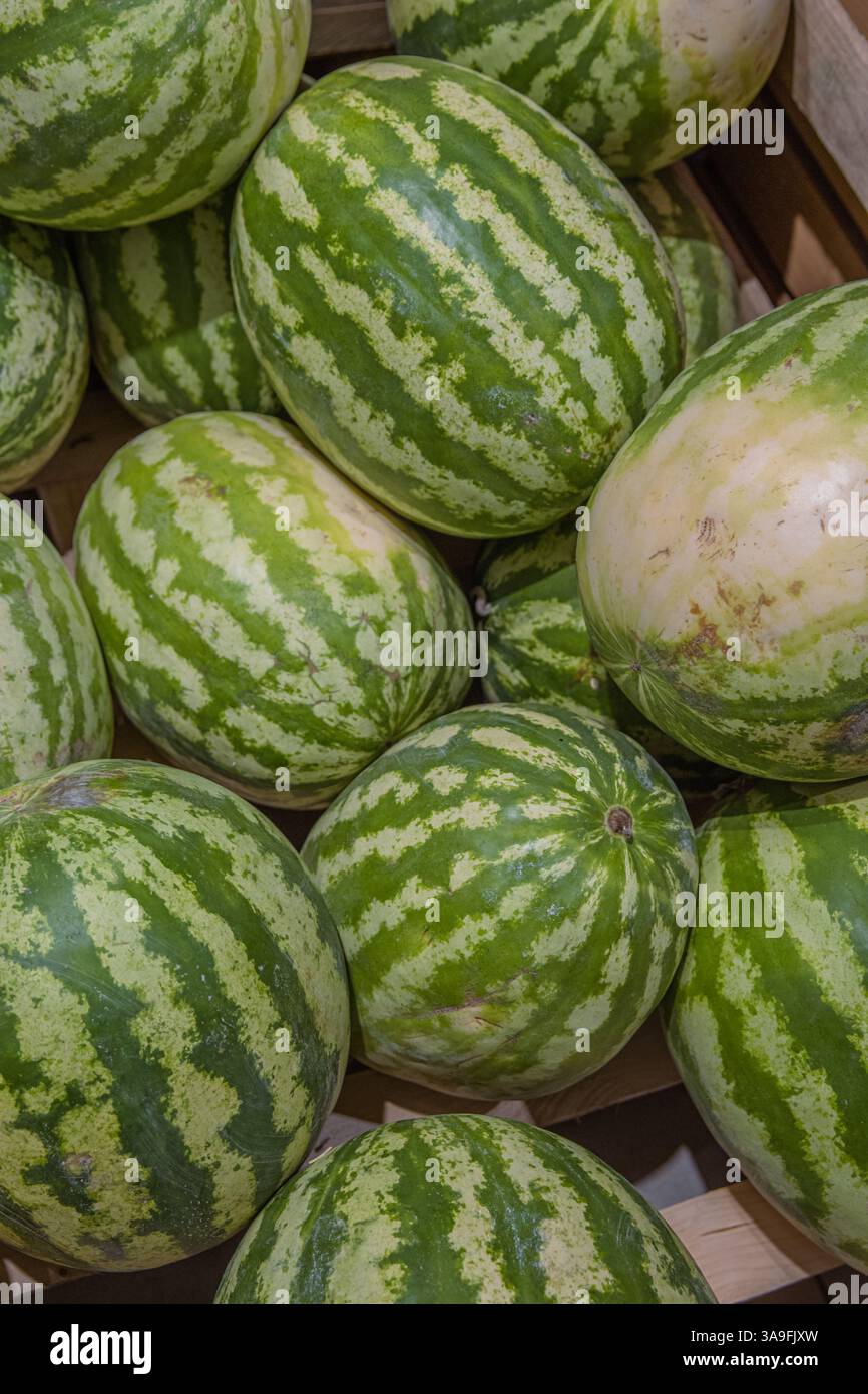 Watermelons in the wooden container on supermarket shelf. watermelon on ...