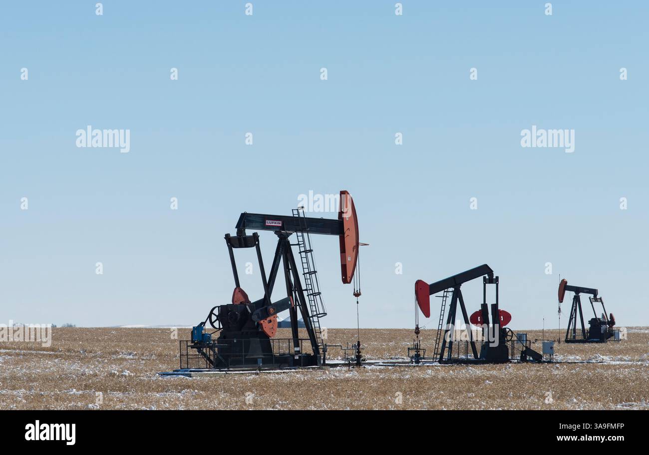Pumpjacks at an oil well near Horsethief Canyon, Alberta, Canada Stock ...