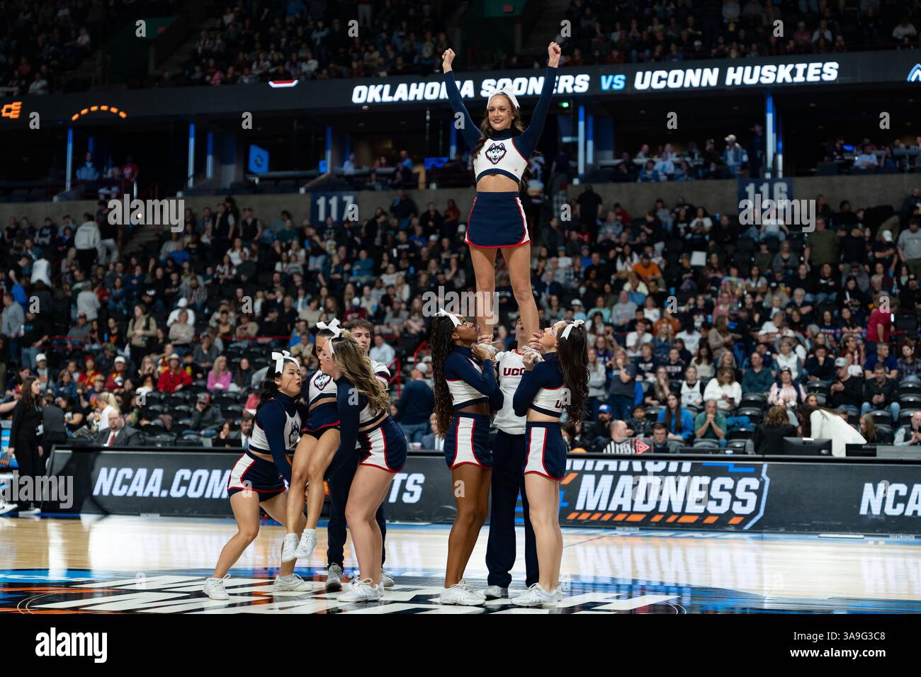 UConn Huskies cheerleaders perform during NCAA Tournament basketball ...