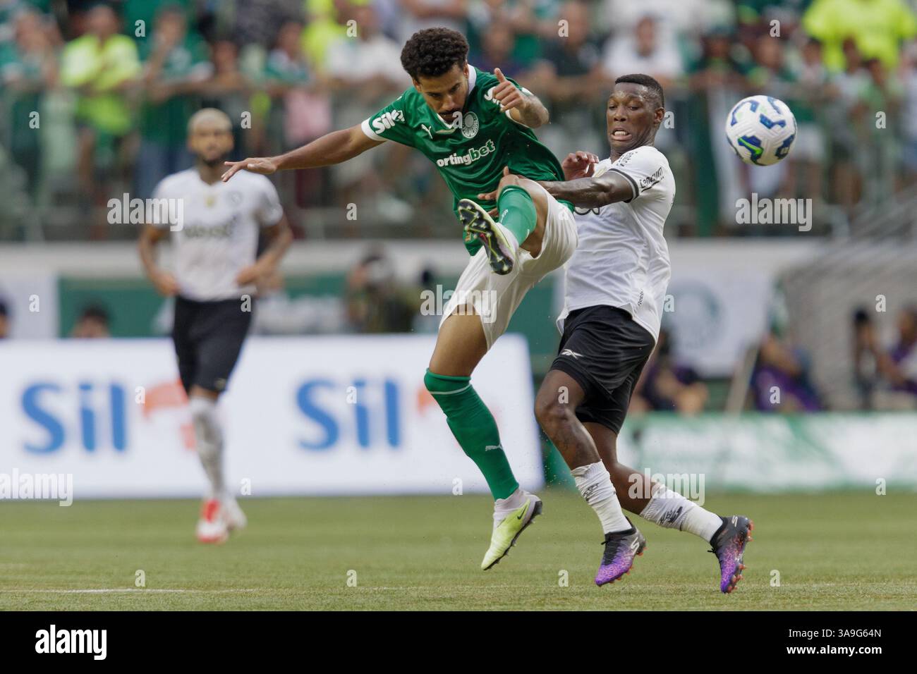 Palmeiras botafogo 2025 hi-res stock photography and images - Alamy