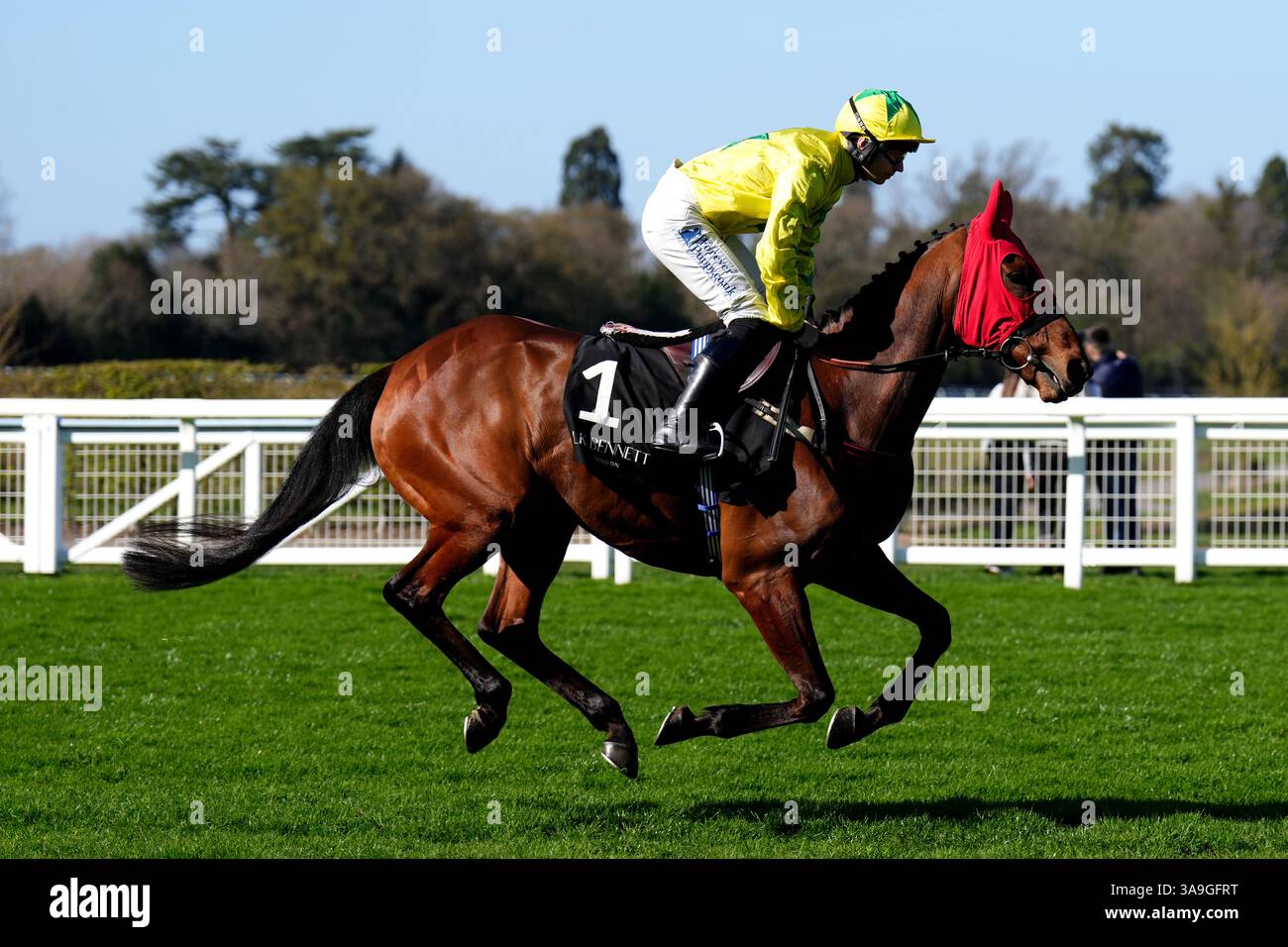 Light n strike ridden by Ben Jones on their way to post before the LK ...