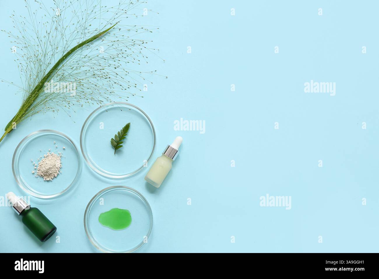 Bottles of oil, Petri dishes with sample and ingredients for preparing ...