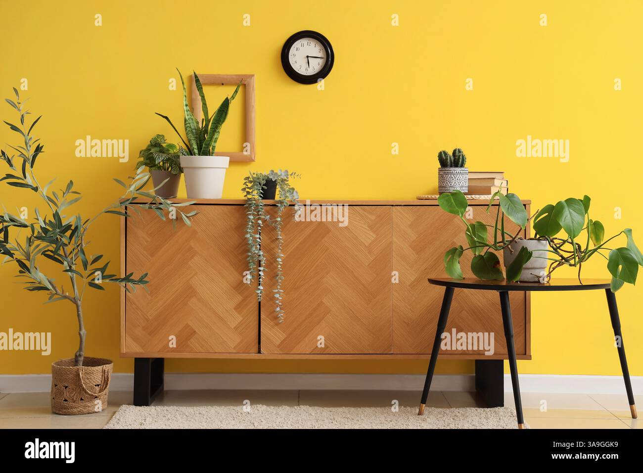 Interior of room with wooden commode, table and plants Stock Photo - Alamy