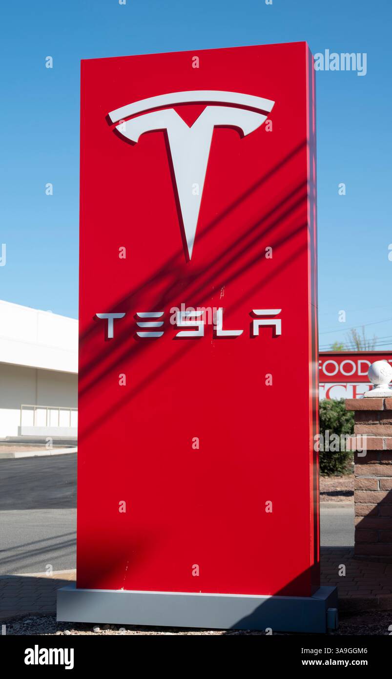 Protesters with placards deriding Elon Musk and Trump Administration's ...