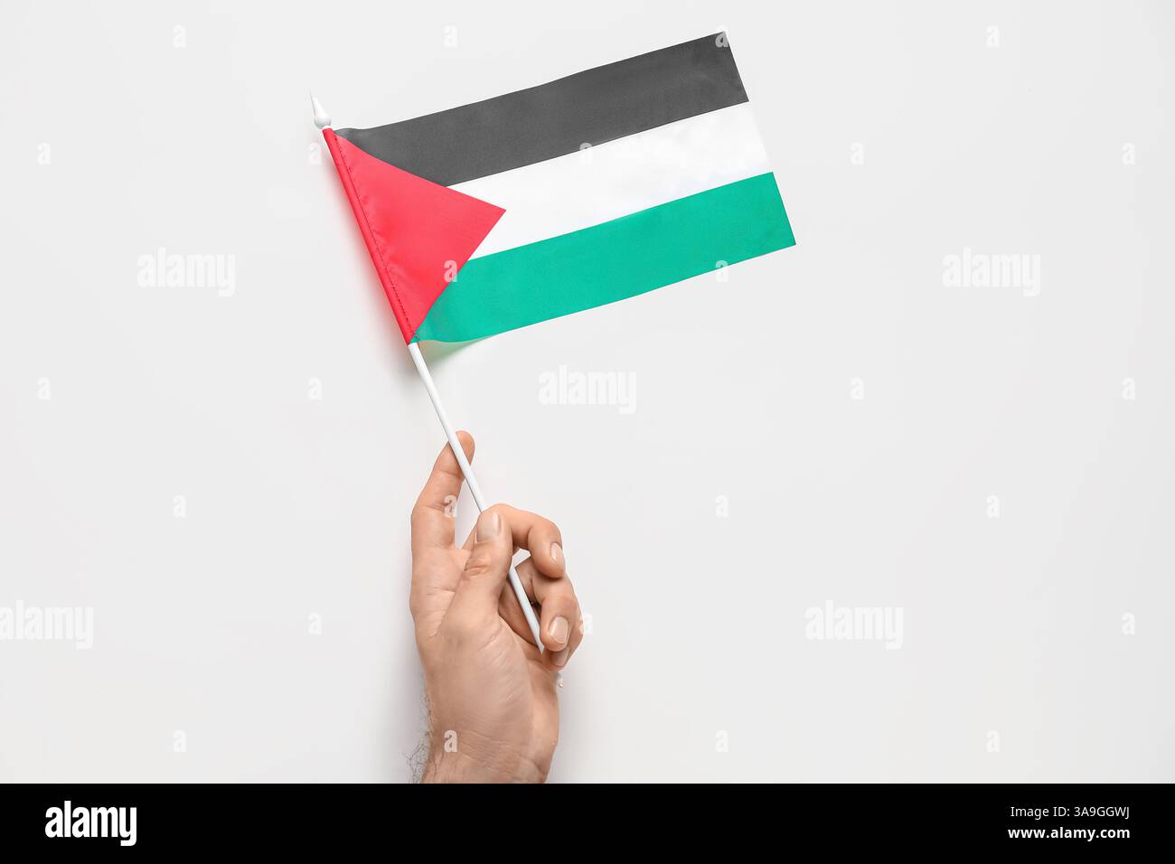 Male hand with flag of Palestine on white background Stock Photo - Alamy