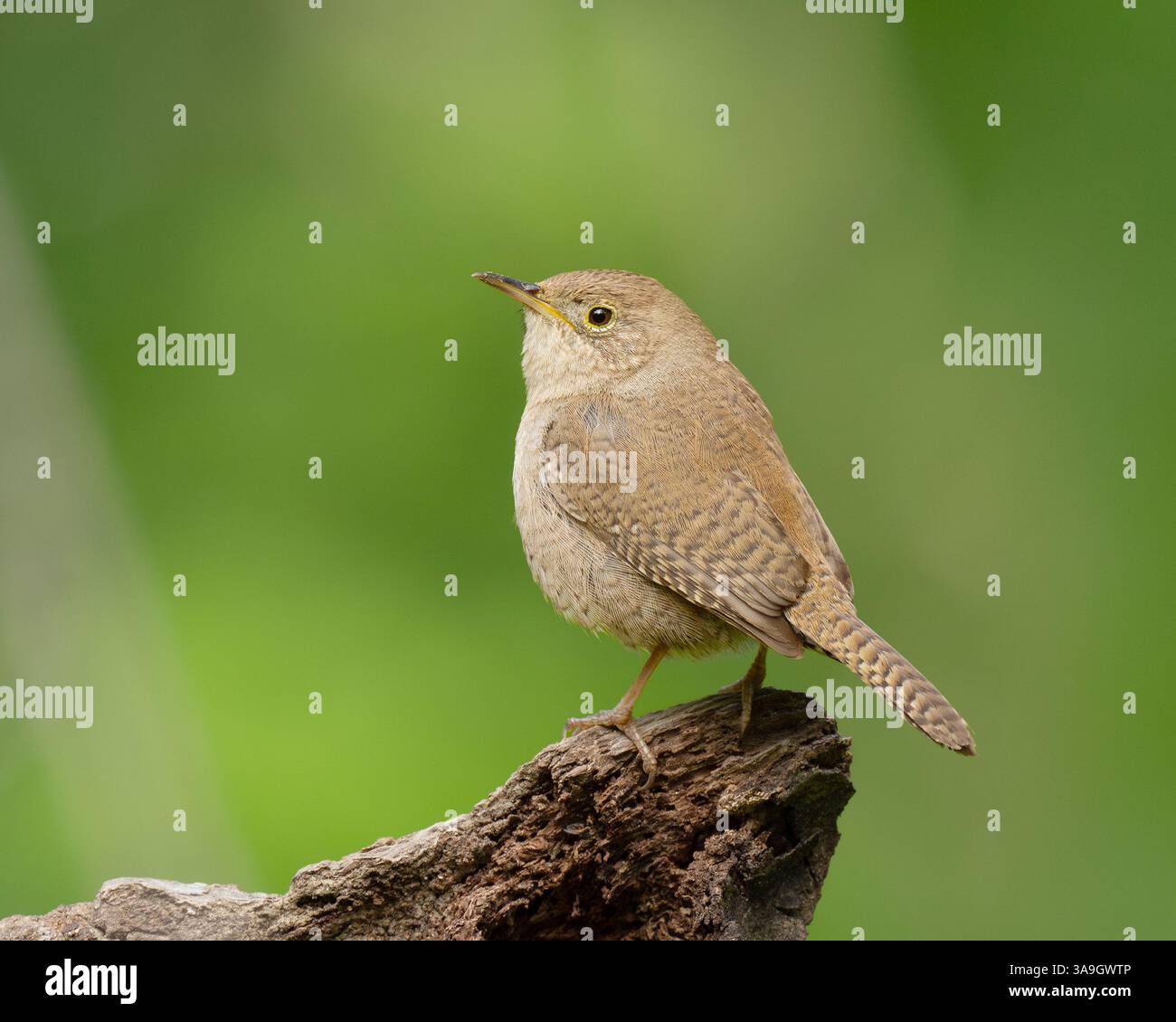 Ancil hoffman county park hi-res stock photography and images - Alamy