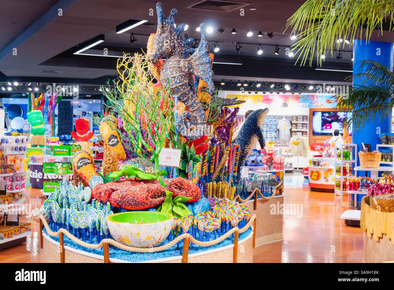 Oahu, Hawaii, USA - February 23, 2024 - Incredible candy displays at ...