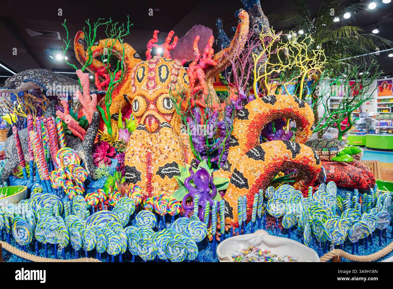 Oahu, Hawaii, USA - February 23, 2024 - Incredible candy displays at ...