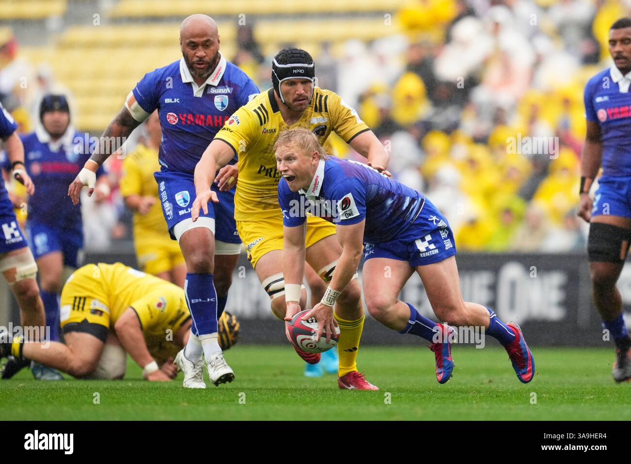 Sam Greene (BlueRevs), MARCH 29, 2025 - Rugby : 2024-25 Japan Rugby ...