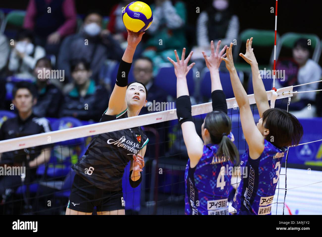 Ageo Civic Gymnasium, Saitama, Japan. 30th Mar, 2025. Mizuki Tanaka, MARCH 30, 2025 - Volleyball ...