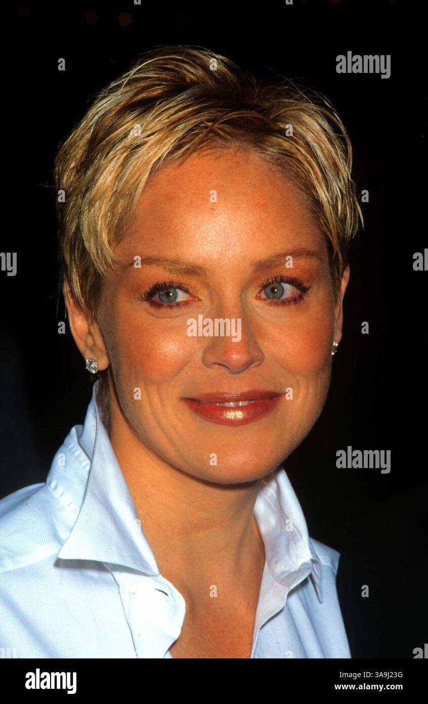 Oct 02, 2001; New York, New York, USA; SHARON STONE was rushed to a San ...