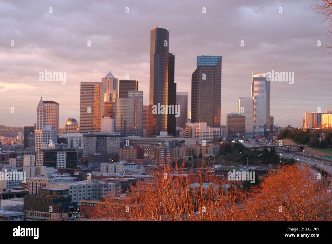 Dec 26, 2004; Seattle, WA, USA; Skyline, skyscraper buildings, Space ...