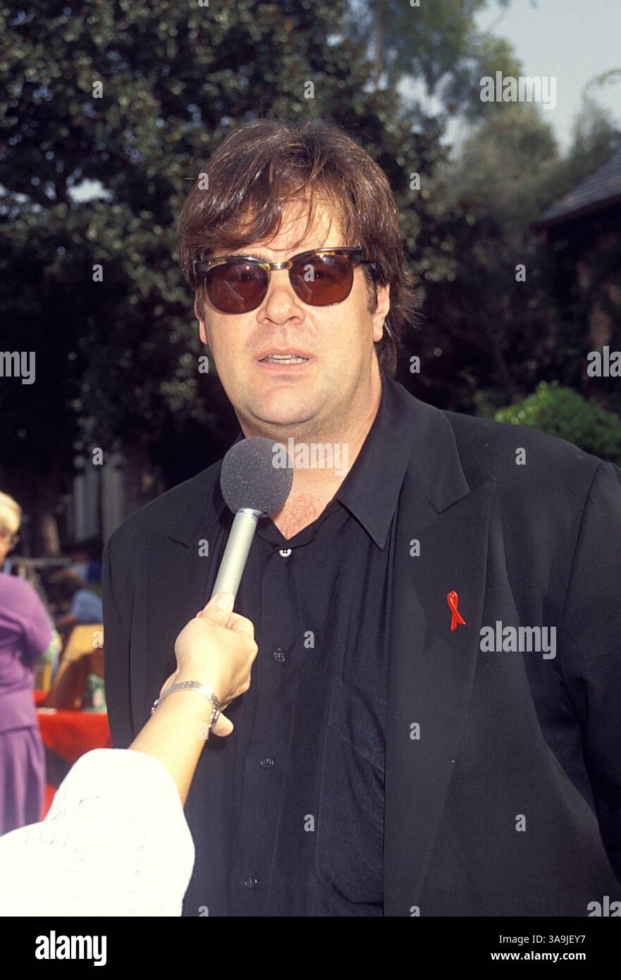 Sep 09, 1993; Los Angeles, CA, USA; Actor DAN AYKROYD Stock Photo - Alamy