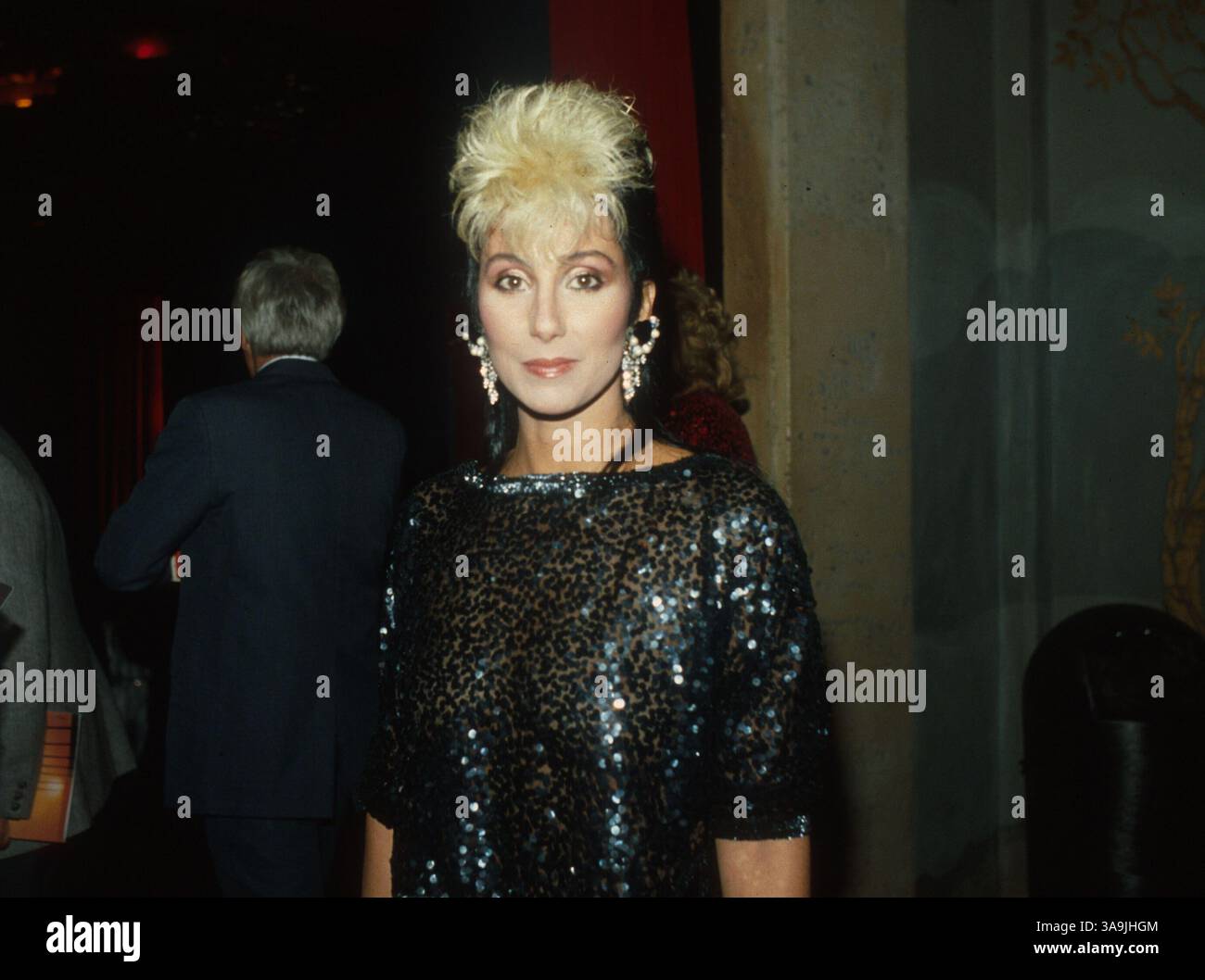 Aug 01, 1985 - Los Angeles, CA, USA - Actress and song artist CHER ...