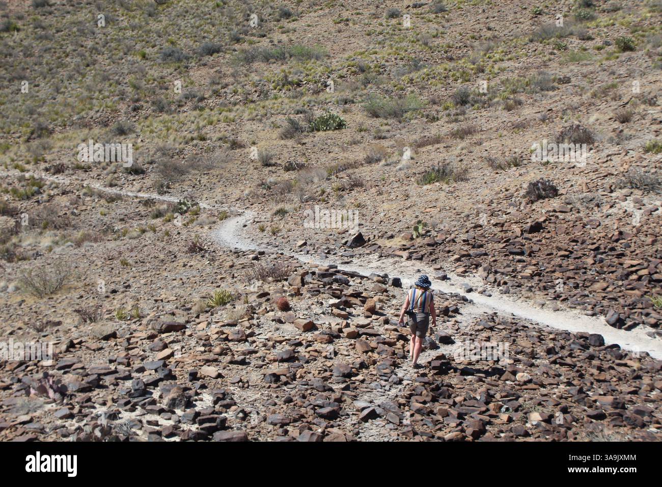 Female touring walking alone on a desert trail Big Bend National Park ...