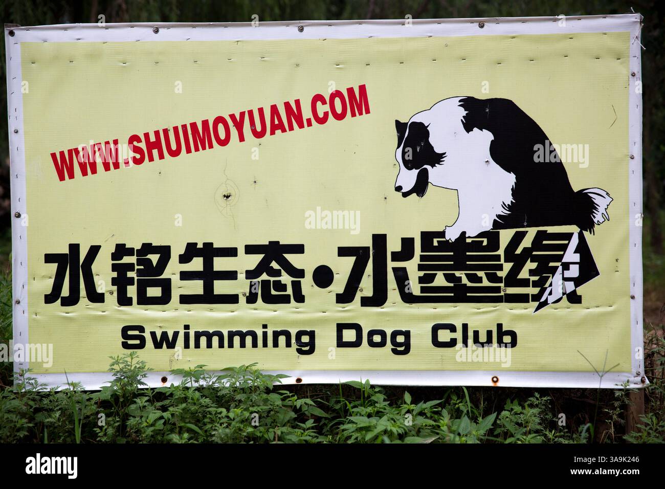 A sign for a dog swimming pool Stock Photo - Alamy