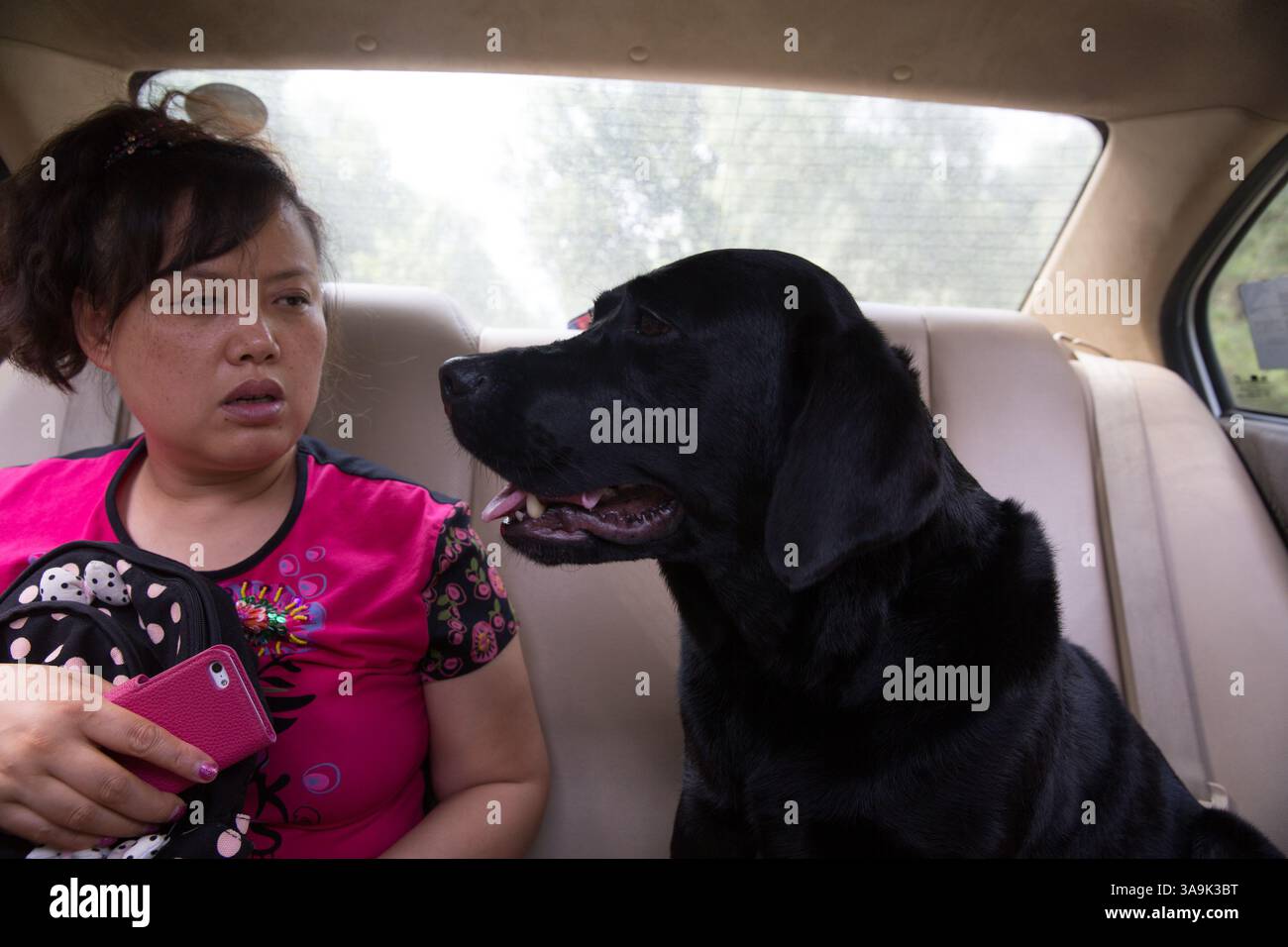Chen and her guide dog Stock Photo - Alamy