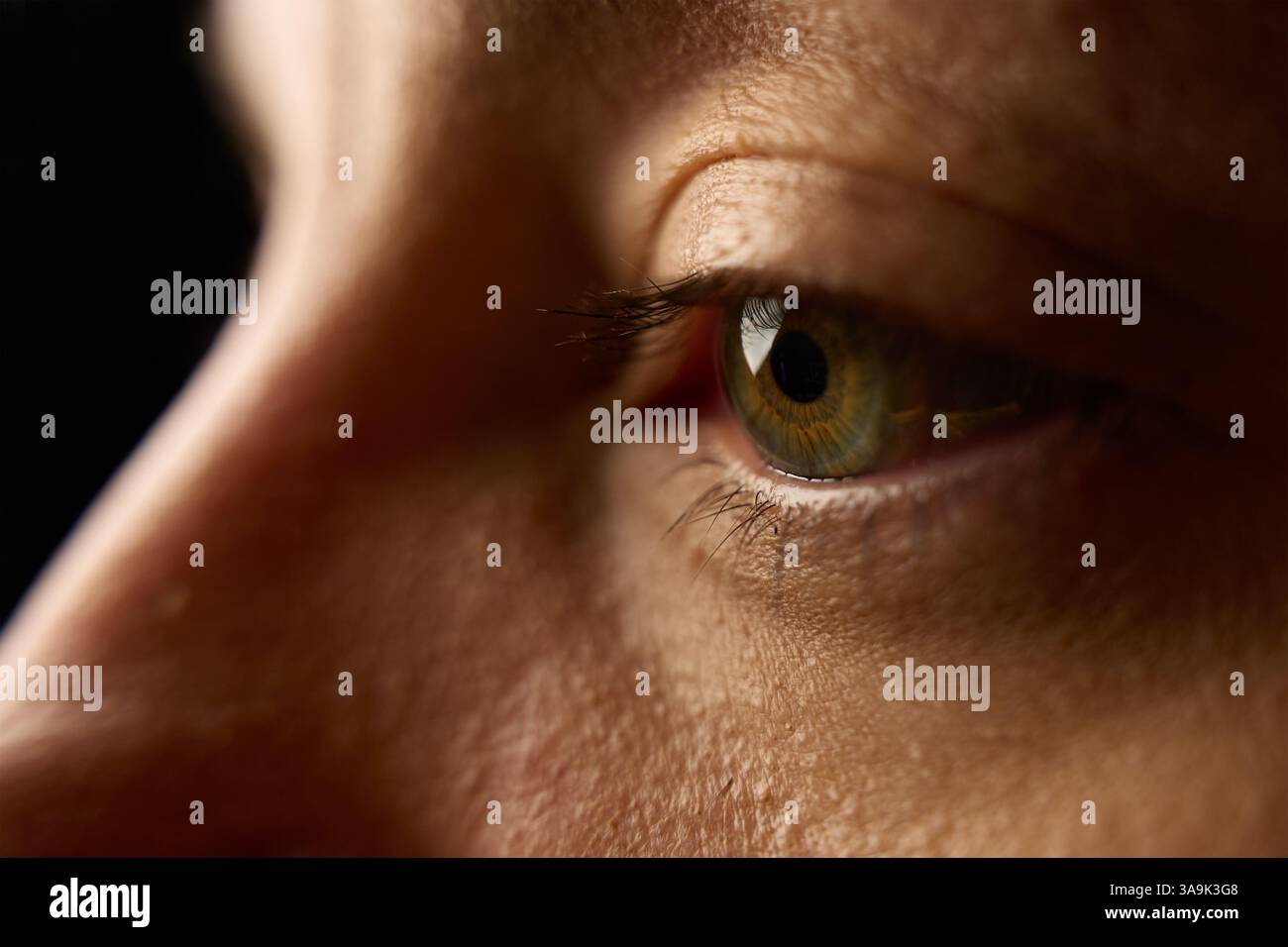 Closeup view human eye hi-res stock photography and images - Alamy