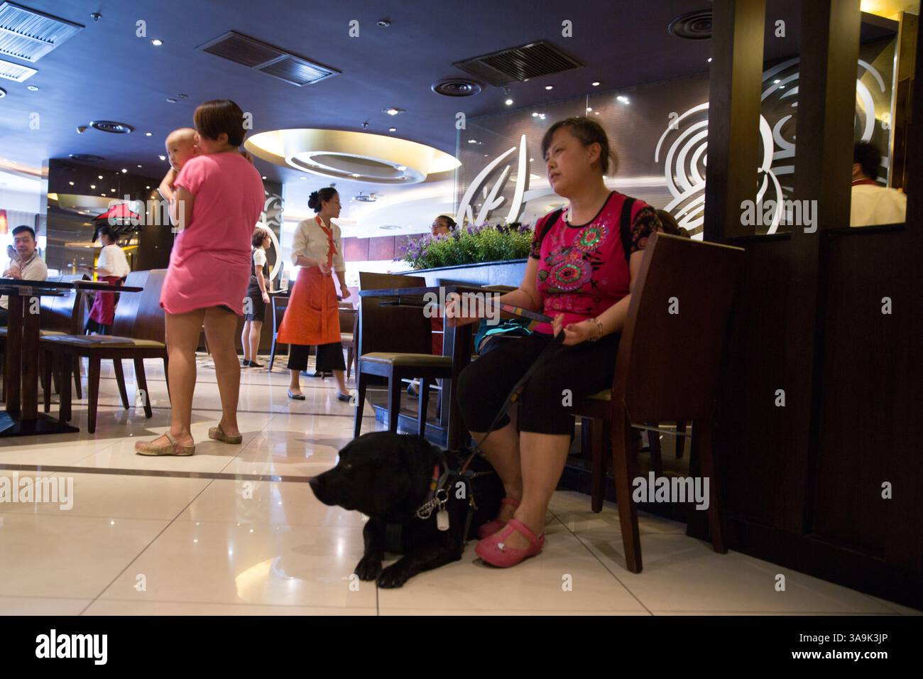 Chen and her guide dog Jenny in a shopping mall Stock Photo - Alamy