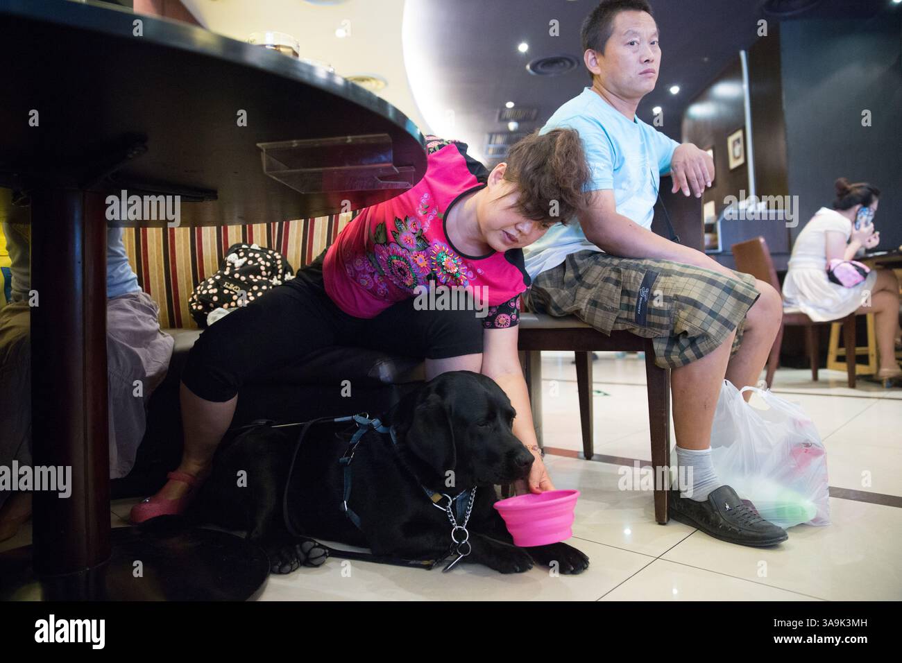 Disability inclusion beijing hi-res stock photography and images - Alamy