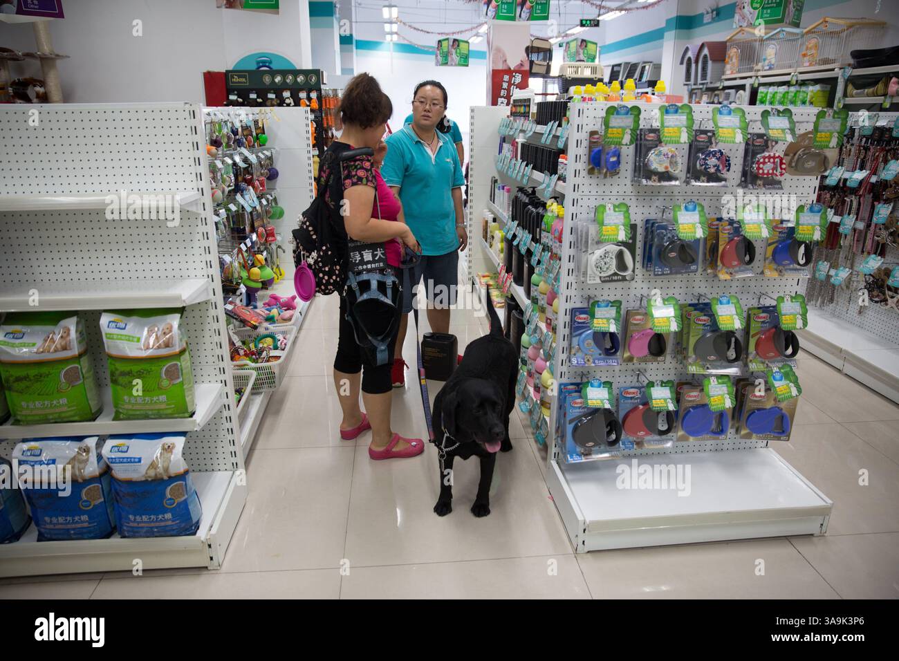 Chen and her guide dog Jenny in a shopping mall Stock Photo - Alamy
