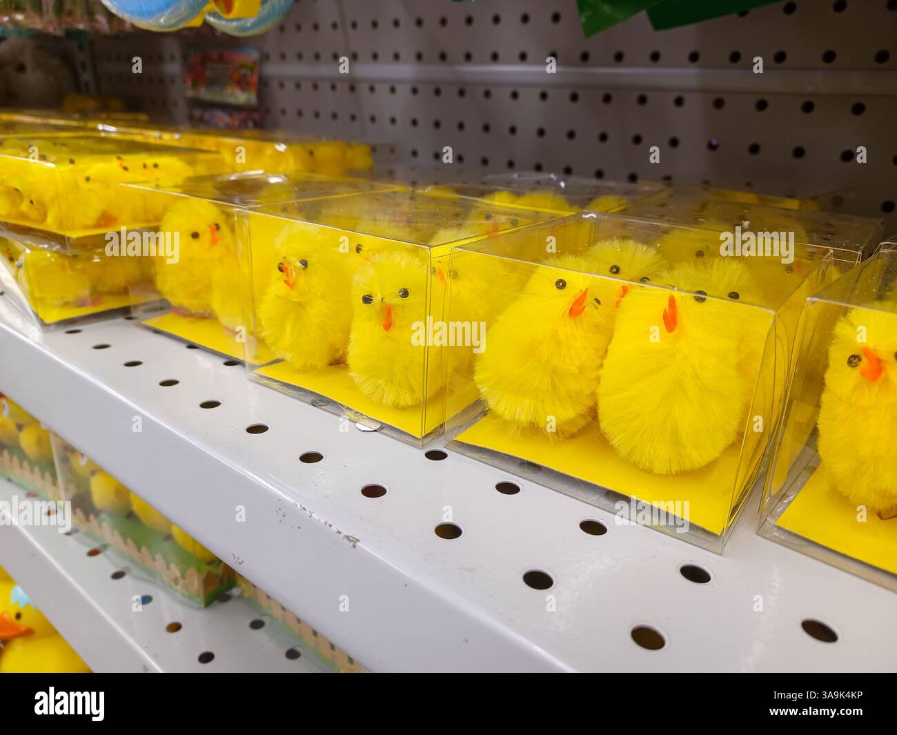 Toronto, ON, Canada – January 31, 2025: A vibrant aisle at Dollarama is ...