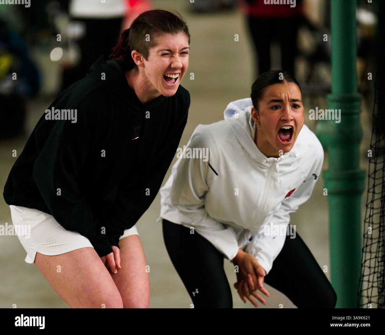 Maya bordereau hi-res stock photography and images - Alamy