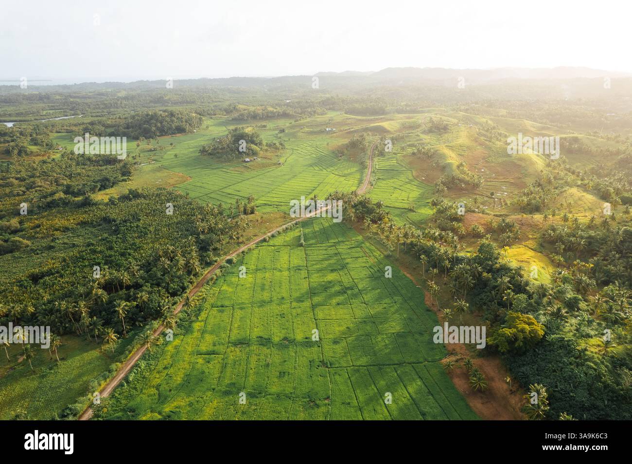 Scenic Farmland and Rural Roads of Siargao, Philippines – A Serene ...