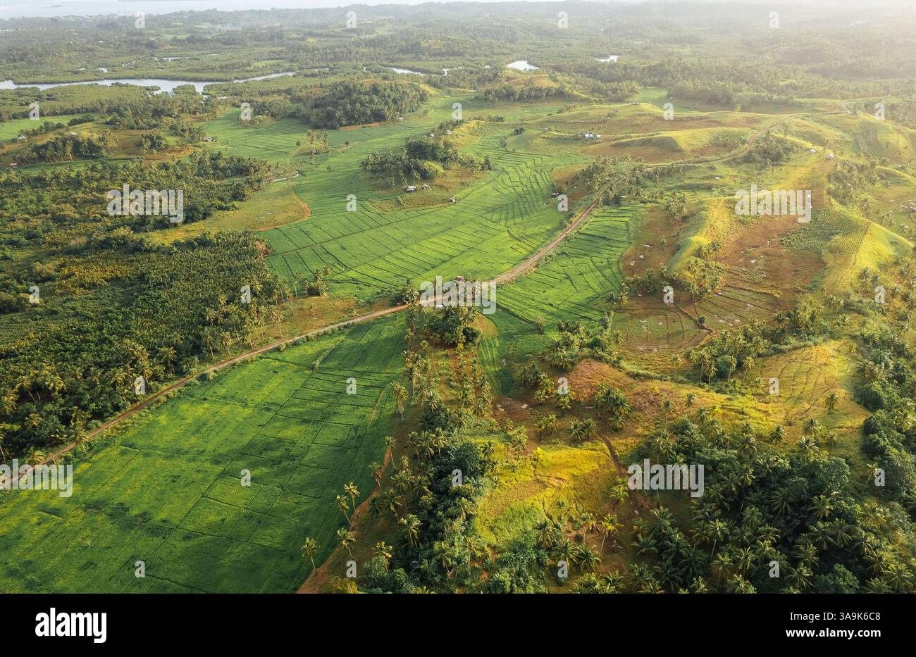 Scenic Farmland and Rural Roads of Siargao, Philippines – A Serene ...