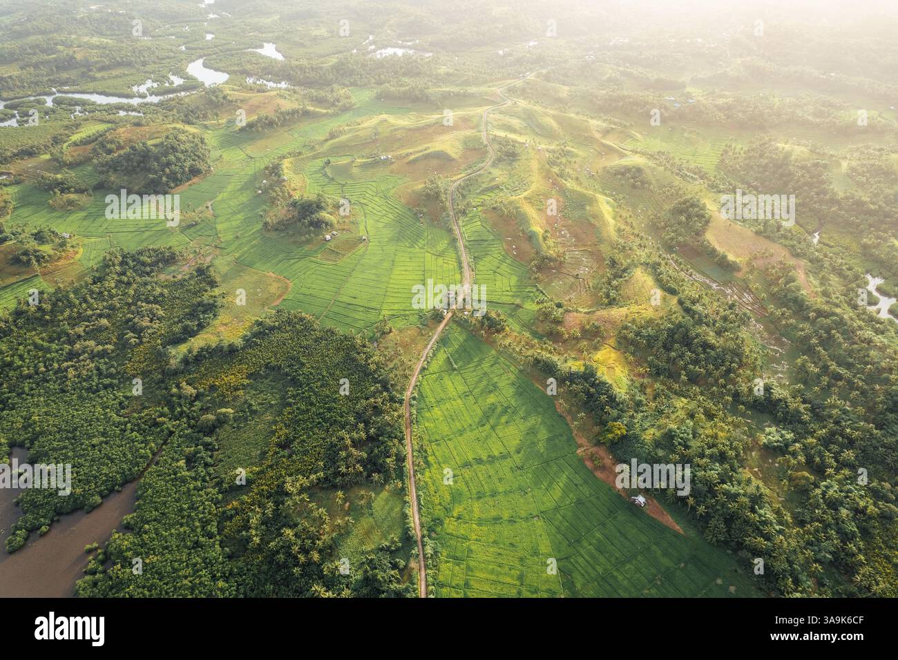 Scenic Farmland and Rural Roads of Siargao, Philippines – A Serene ...