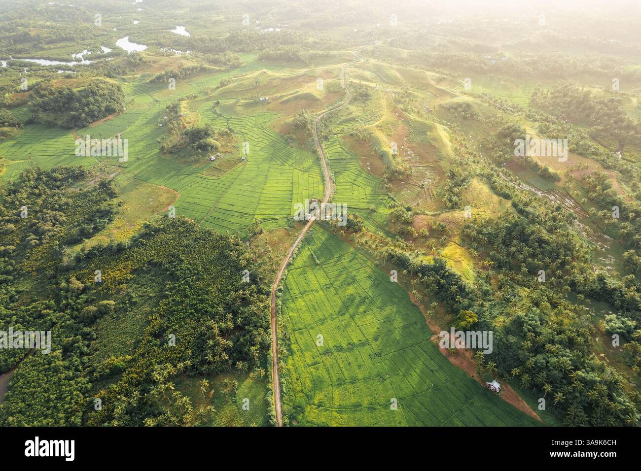 Scenic Farmland and Rural Roads of Siargao, Philippines – A Serene ...