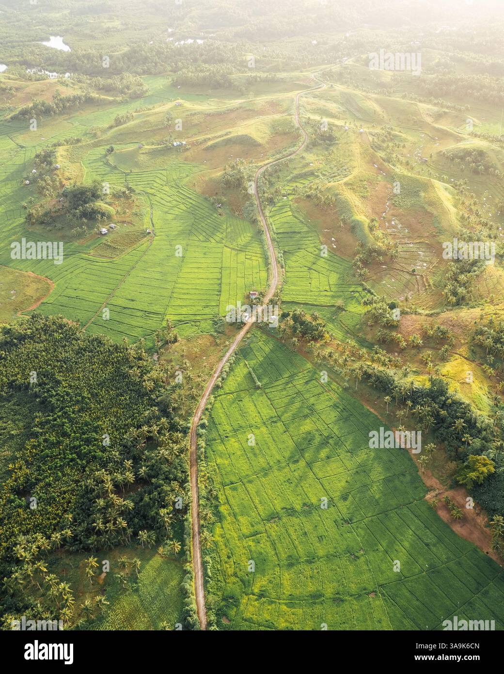 Scenic Farmland and Rural Roads of Siargao, Philippines – A Serene ...