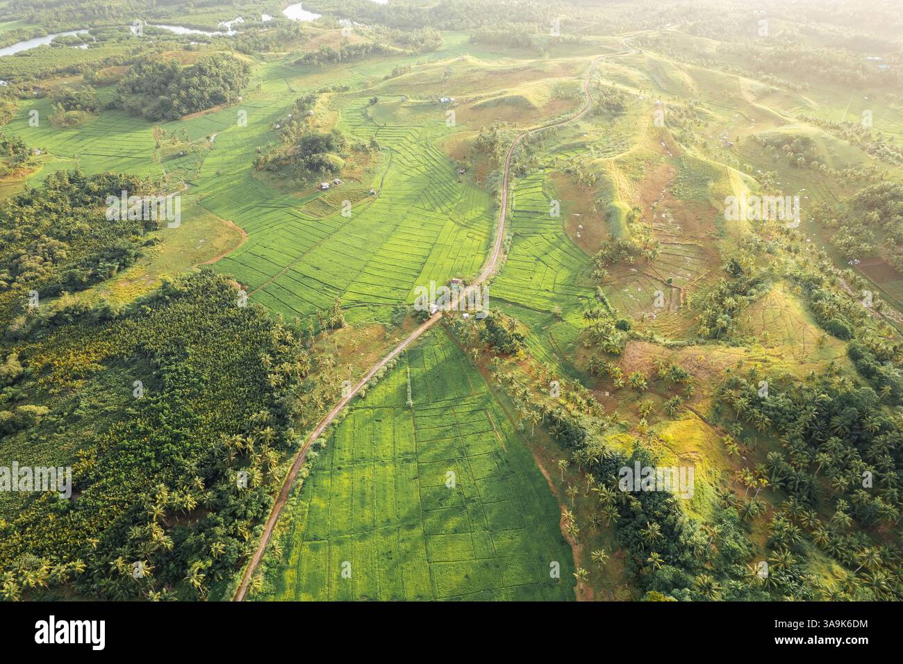 Scenic Farmland and Rural Roads of Siargao, Philippines – A Serene ...