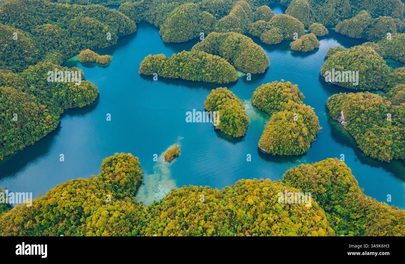 Breathtaking Aerial View of Sohoton Cove – A Hidden Paradise of Lush ...