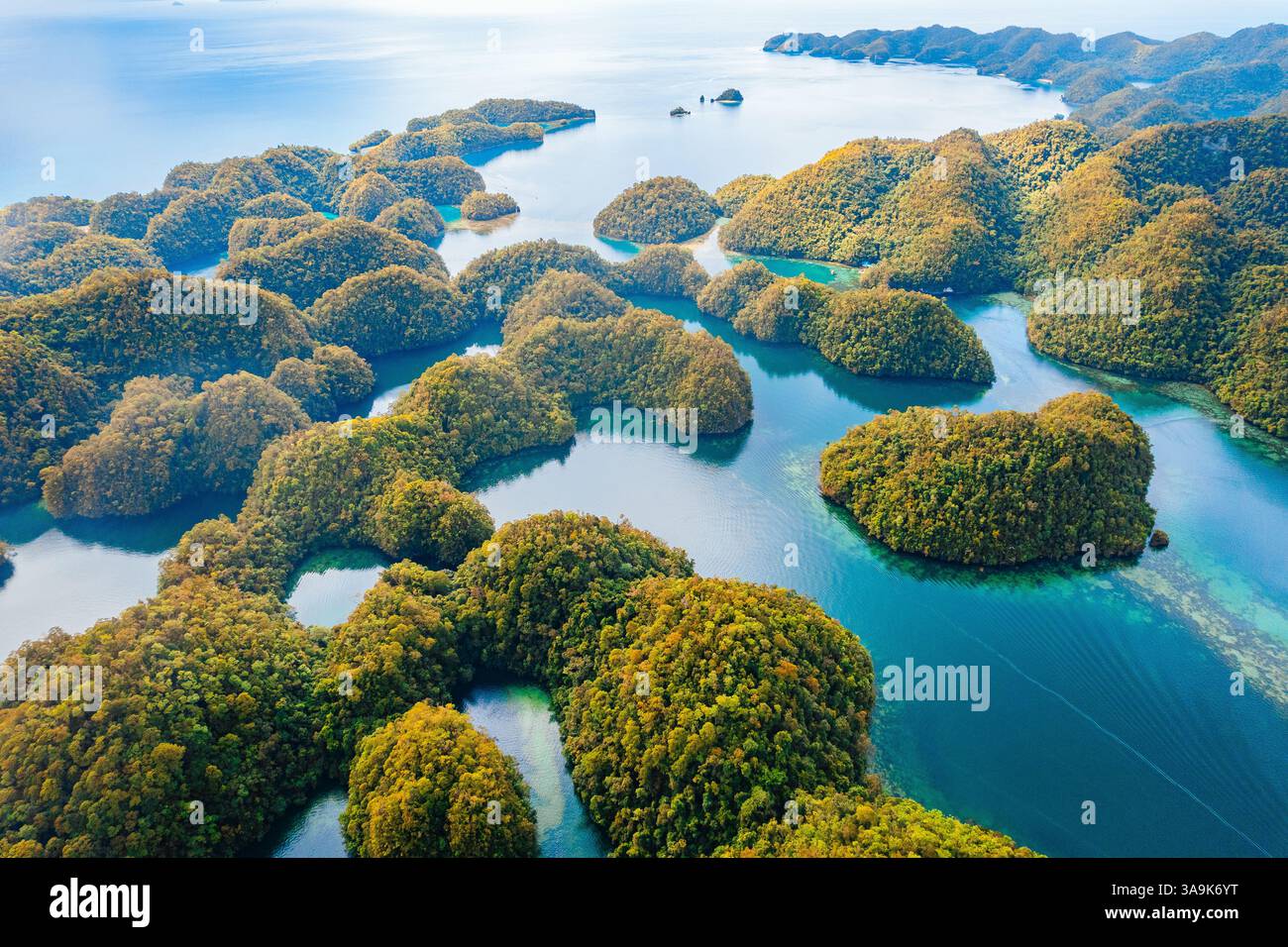Breathtaking Aerial View of Sohoton Cove – A Hidden Paradise of Lush ...